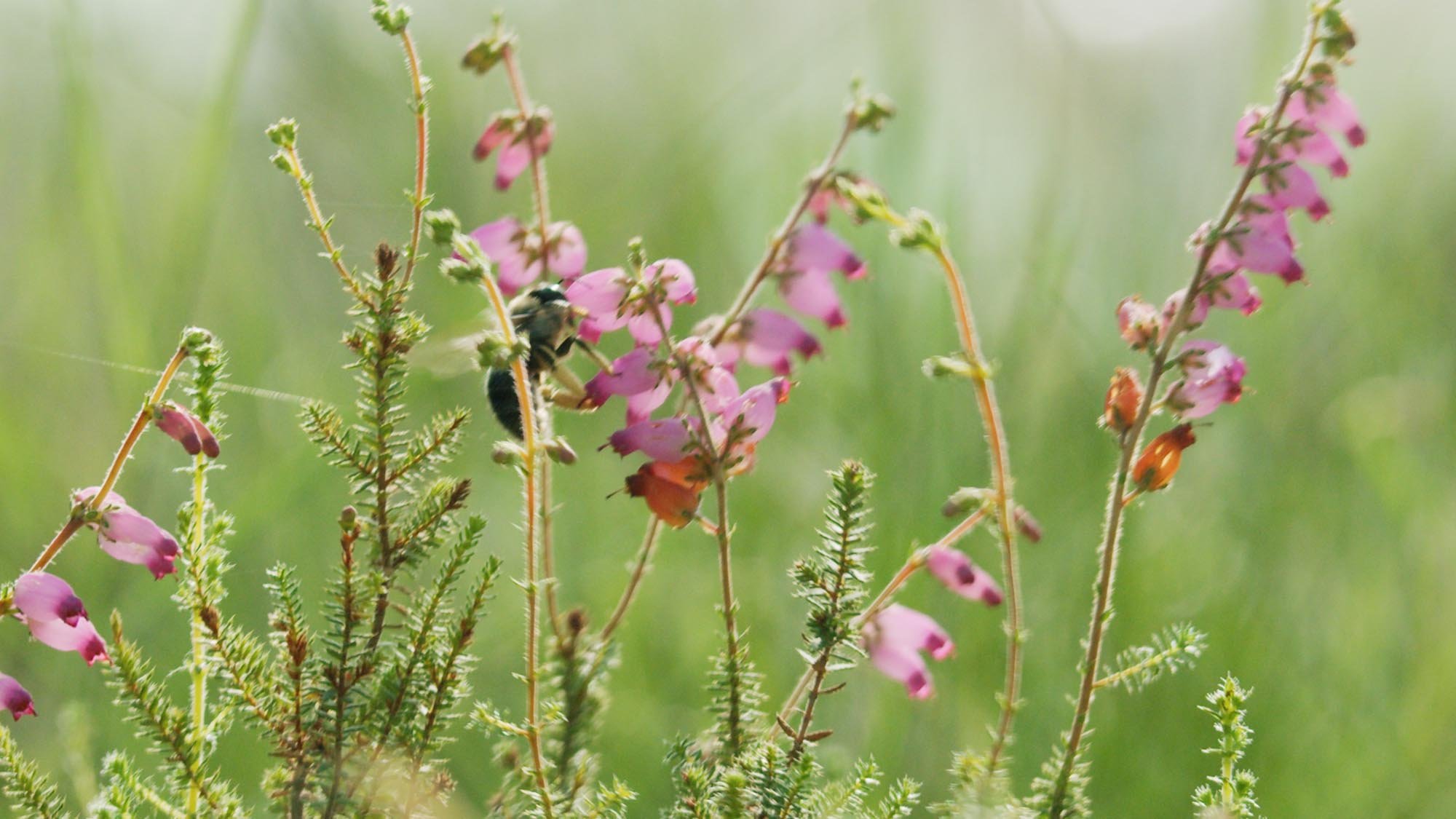 ABOUT US - Start Campus