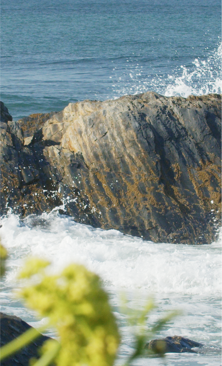 SINES DC - Start Campus